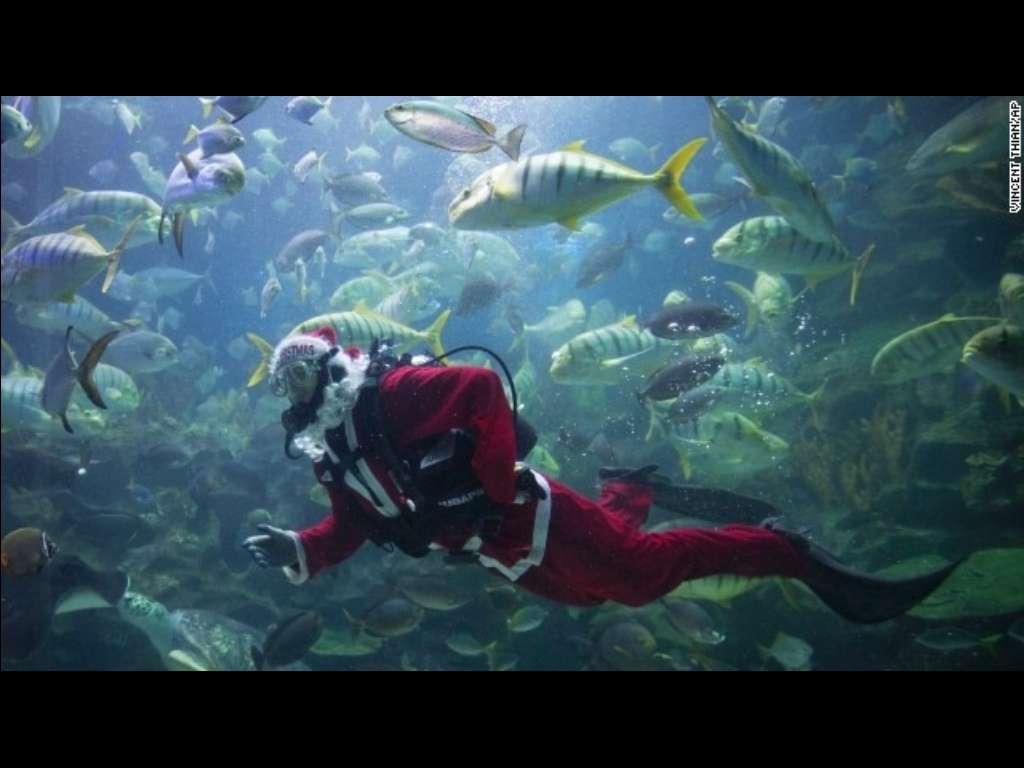 Santa Claus visits us in the Caribbean too! - @The helm